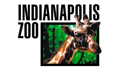 Theme Park News, Articles, Interviews, Jobs and more | blooloop